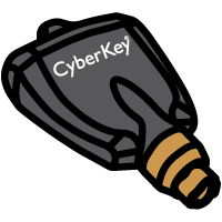 System Manual for CyberAudit-Web